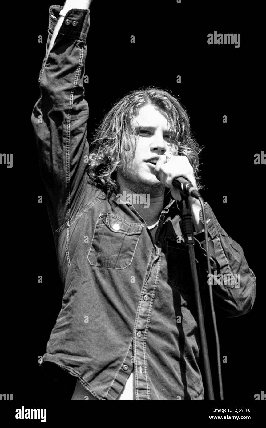 Live rooster Black and White Stock Photos & Images - Alamy