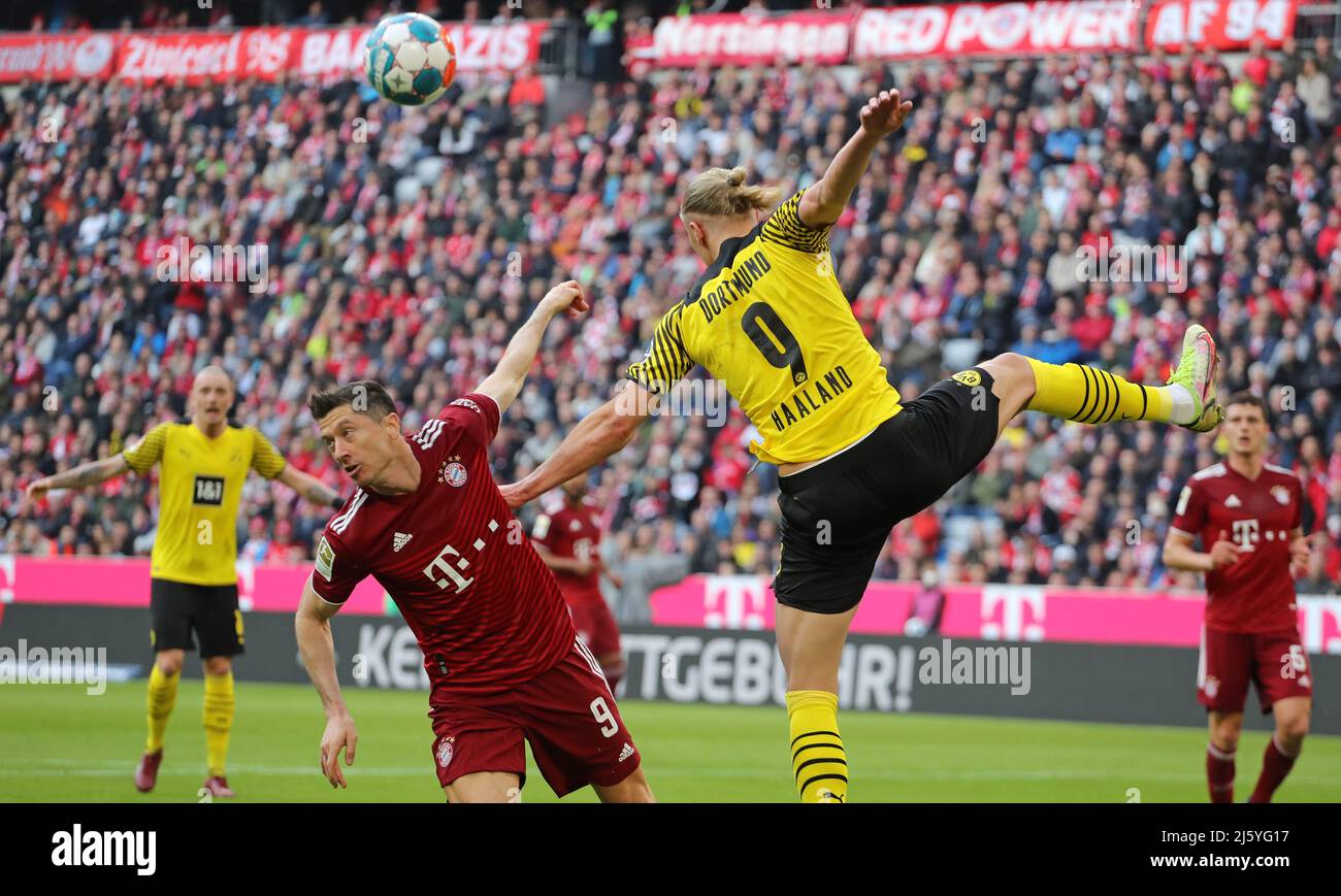 Haaland lewandowski hi-res stock photography and images - Alamy