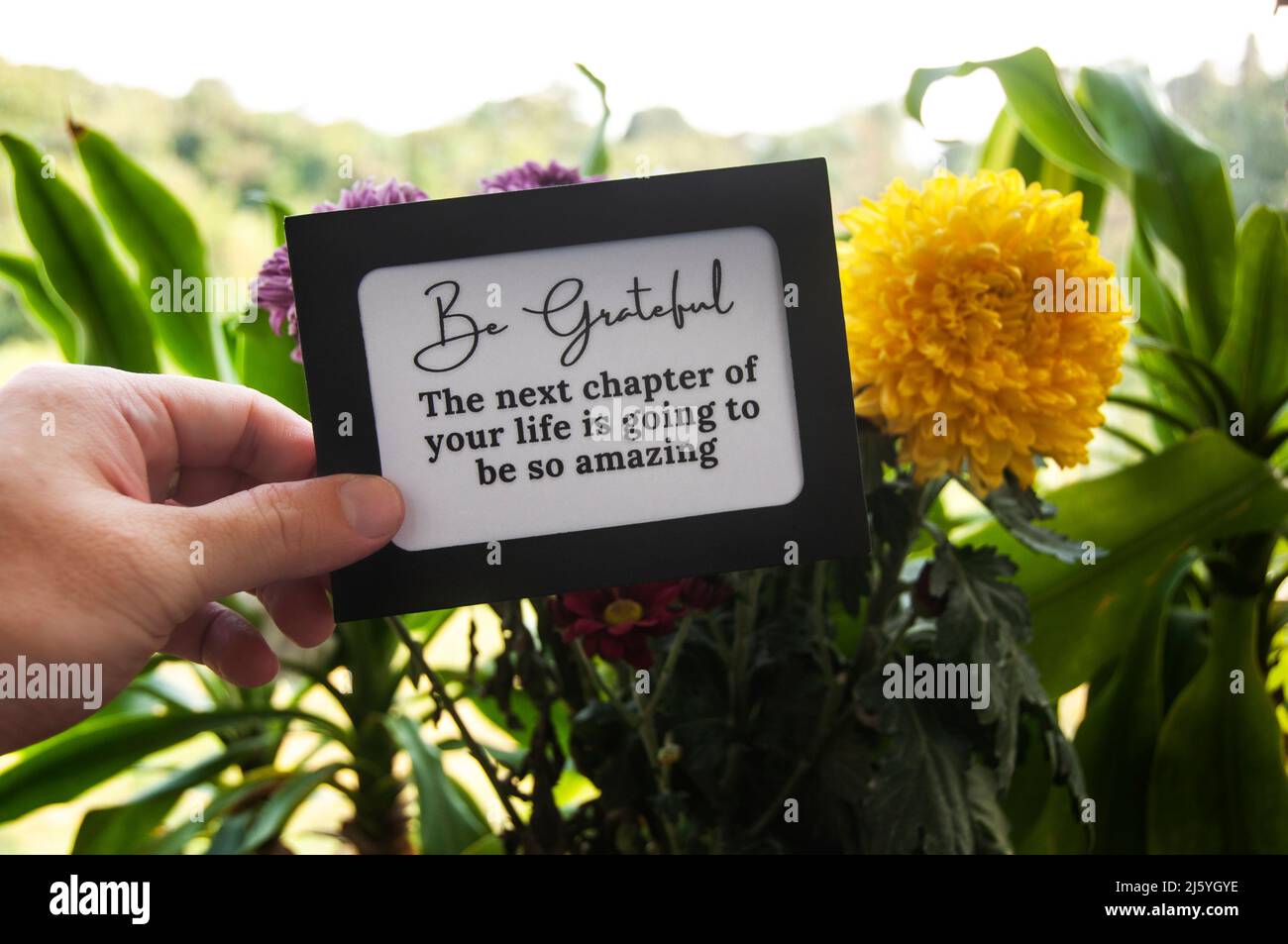 Motivational quote text on notepad - The next chapter of your life is ...