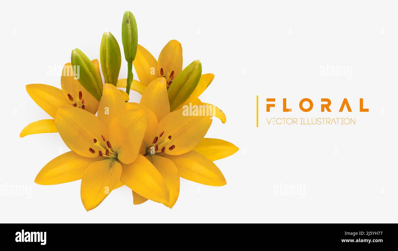 Lily flower tea Stock Vector Images - Alamy