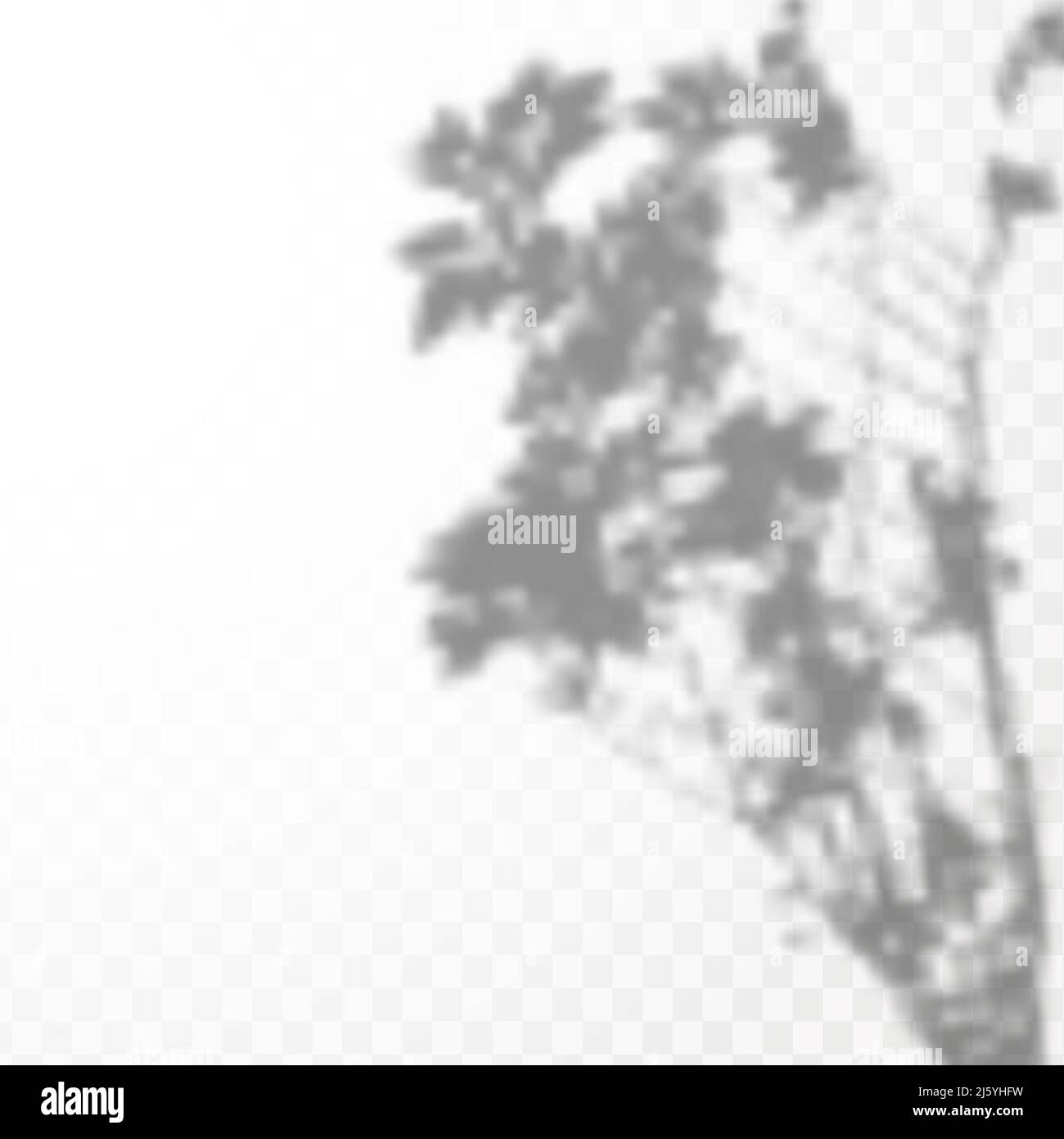 The effect of overlaying shadows. Natural light layout.Realistic shadow ...