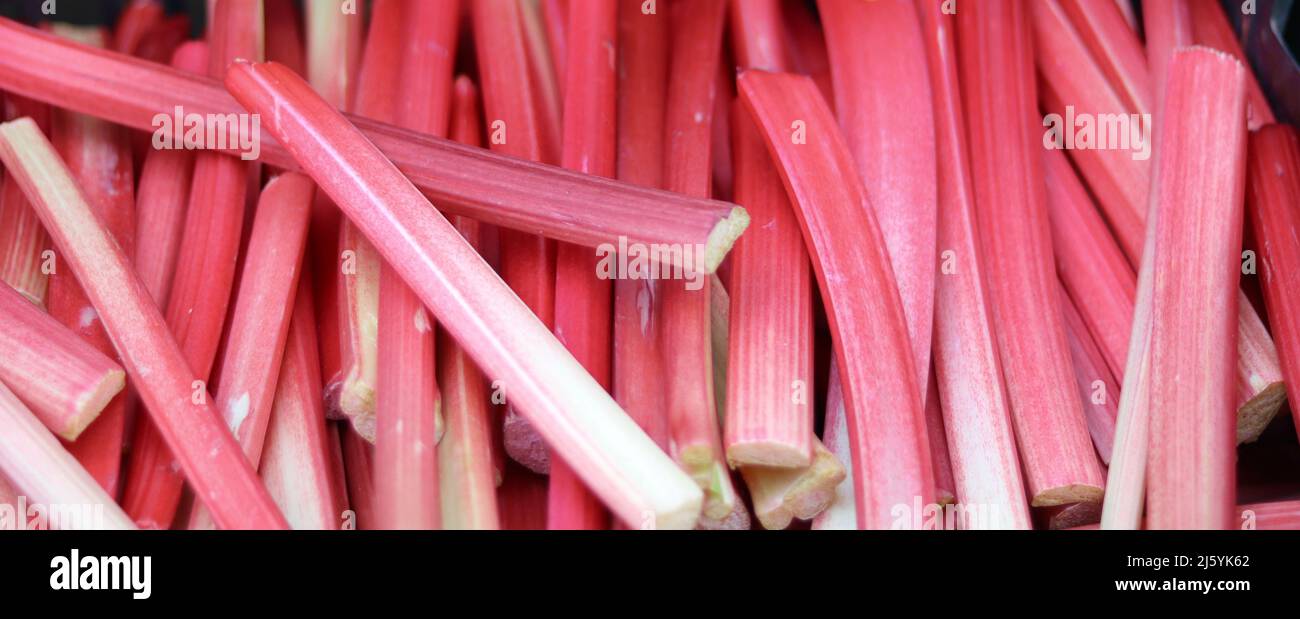 Full frame background of cut pieces of pink red rhubarb Stock Photo - Alamy
