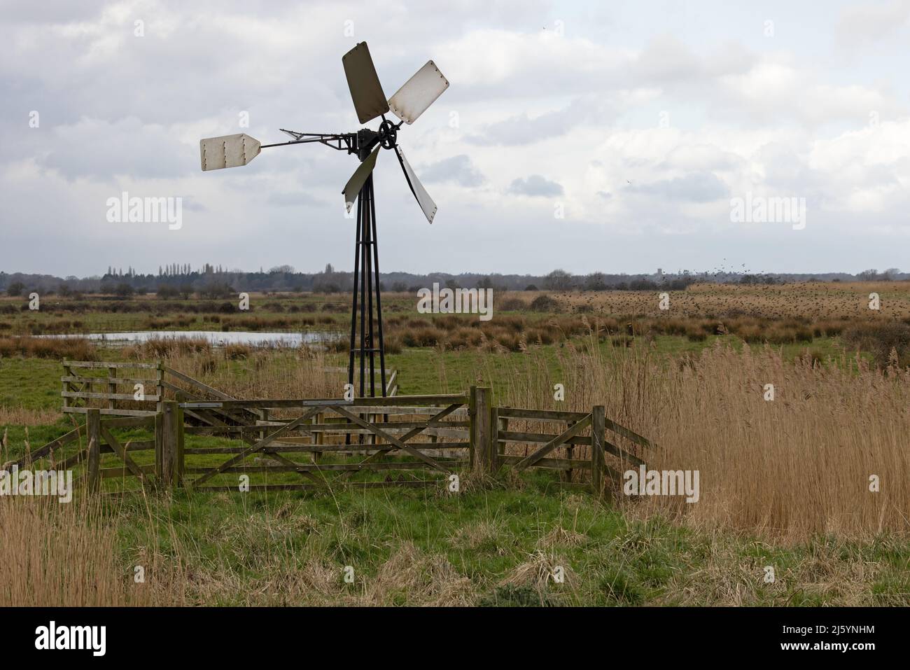 Old Wind turbine Upton Marsh Norfolk GB UK April 2022 Stock Photo - Alamy