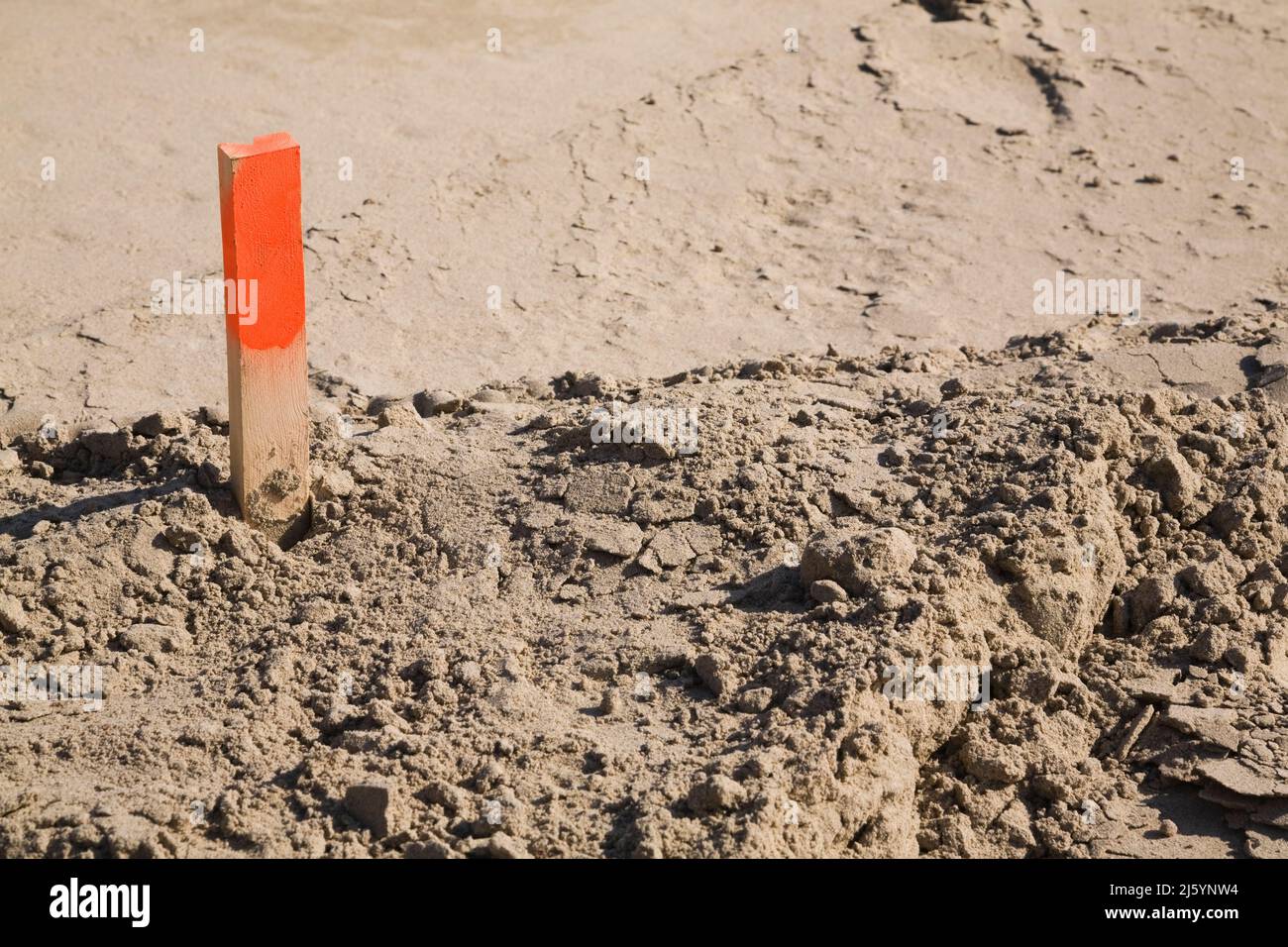 Surveyor's stake in the sand at a construction site Stock Photo - Alamy