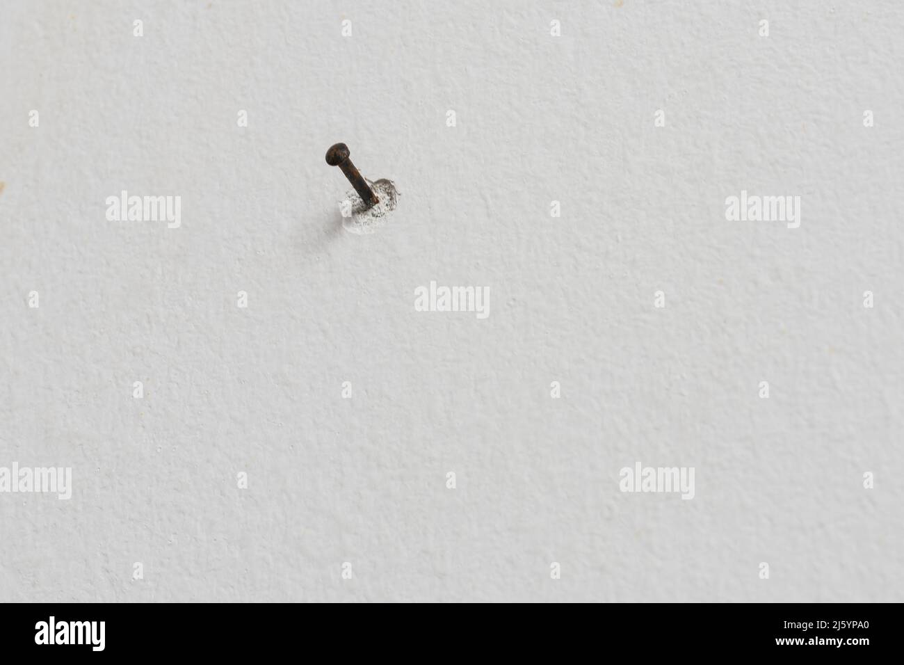 detail of a nail driven into the wall Stock Photo - Alamy