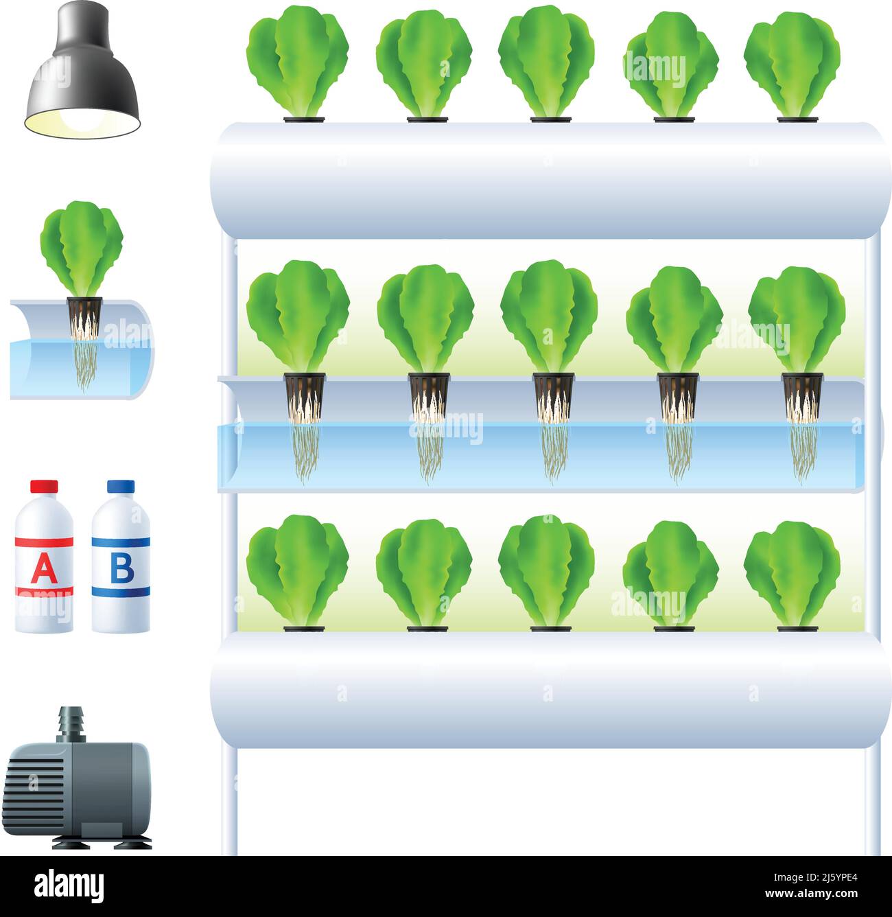 Hydroponics system icon set with equipment and necessary tools for ...