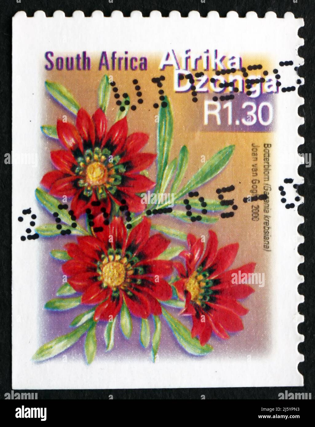 SOUTH AFRICA - CIRCA 2000: a stamp printed in South Africa shows ...