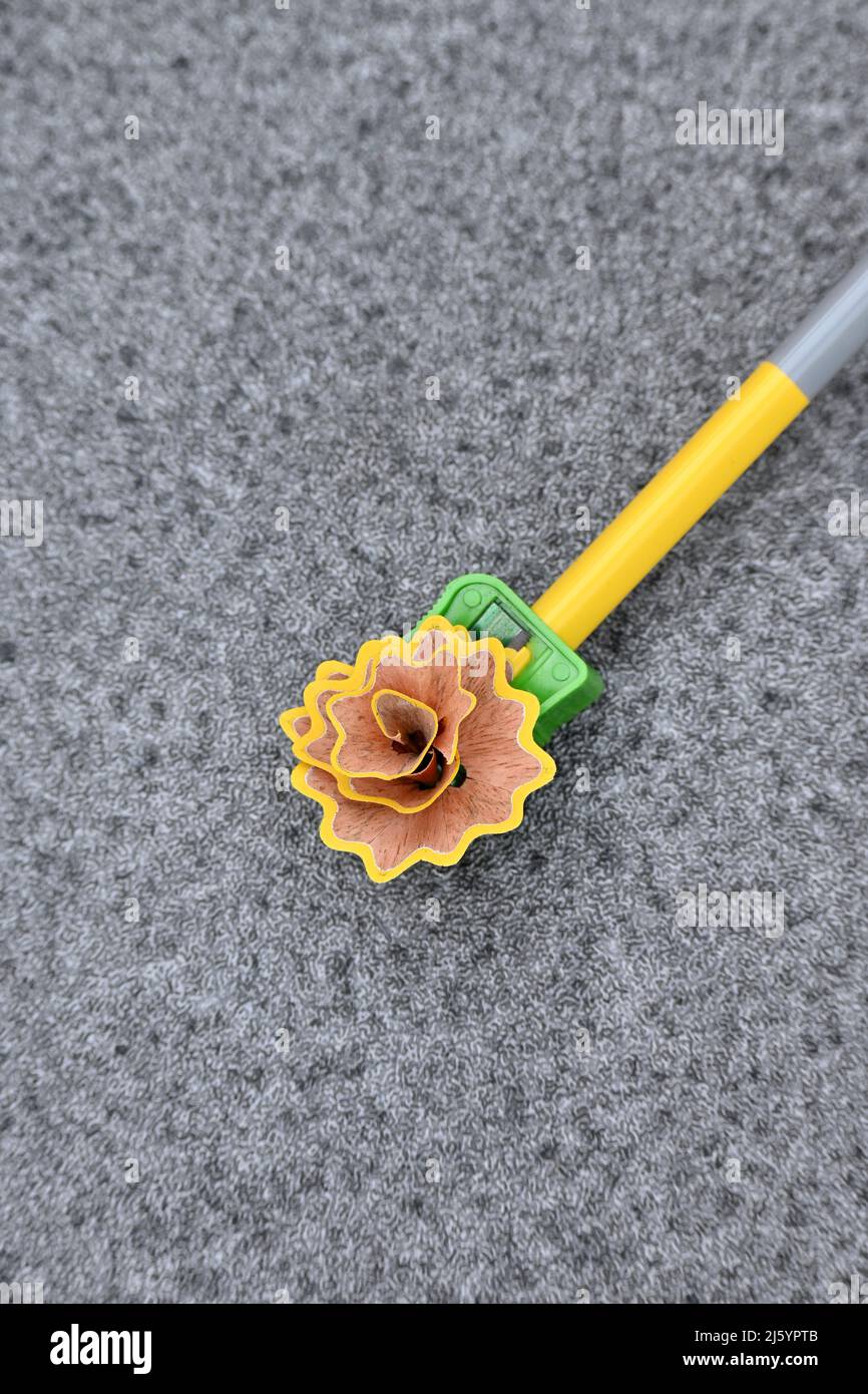closeup the yellow wooden pencil with green sharpener and waste flower ...
