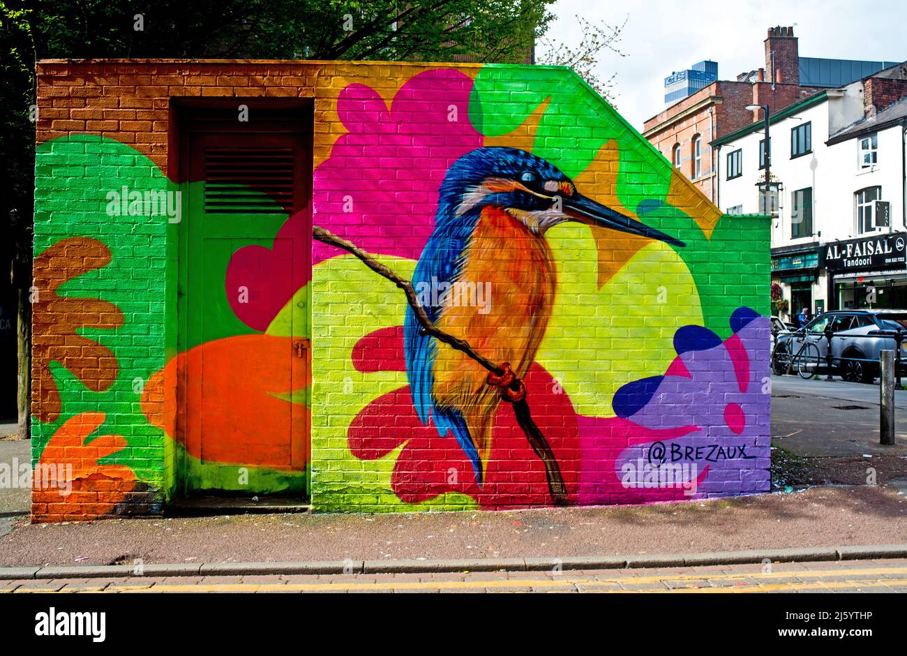 Bird street art hi-res stock photography and images - Alamy