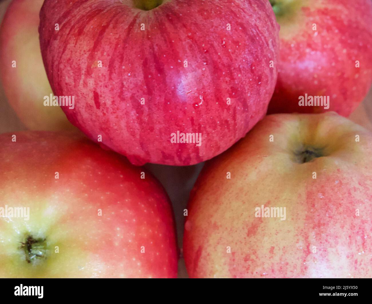 Ligol variety hi-res stock photography and images - Alamy