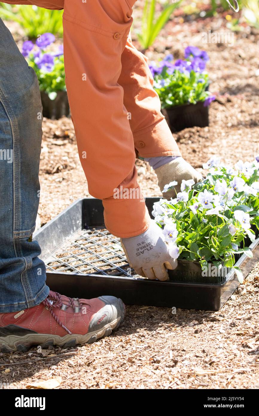 Garden pot feet hi-res stock photography and images - Alamy