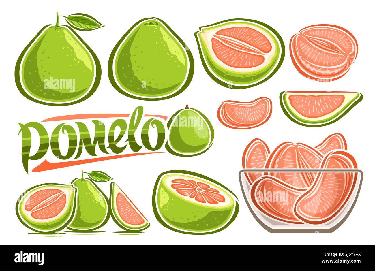 Vector Green Pomelo Set, lot collection of cut out illustrations ...