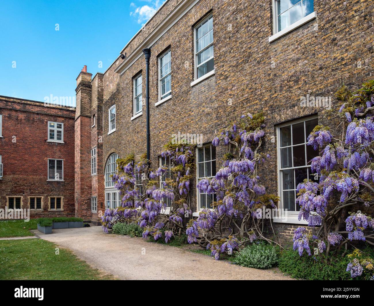 Old brick house with traditional English windows in Fulham Garden and ...