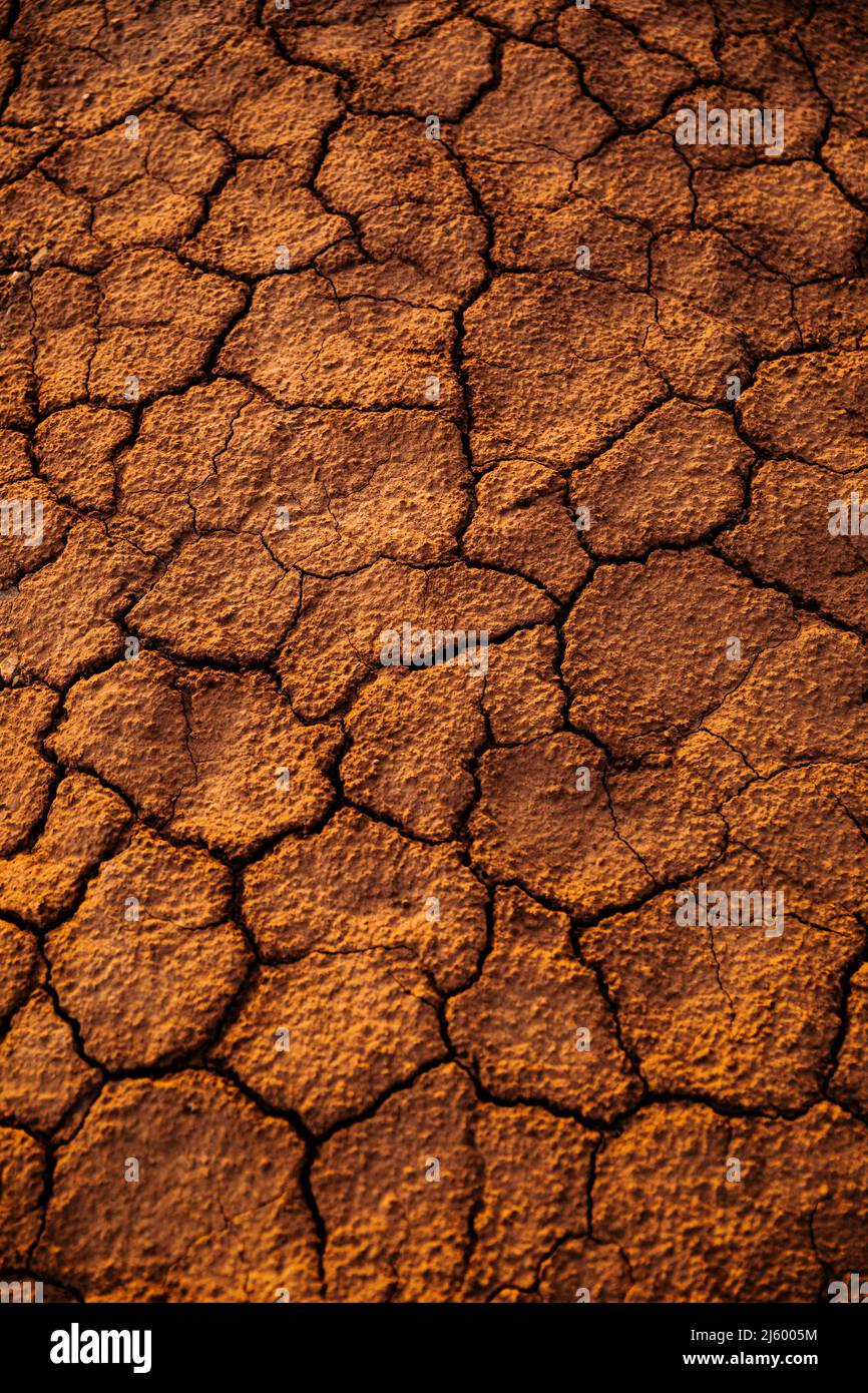 Cracked Desert Background