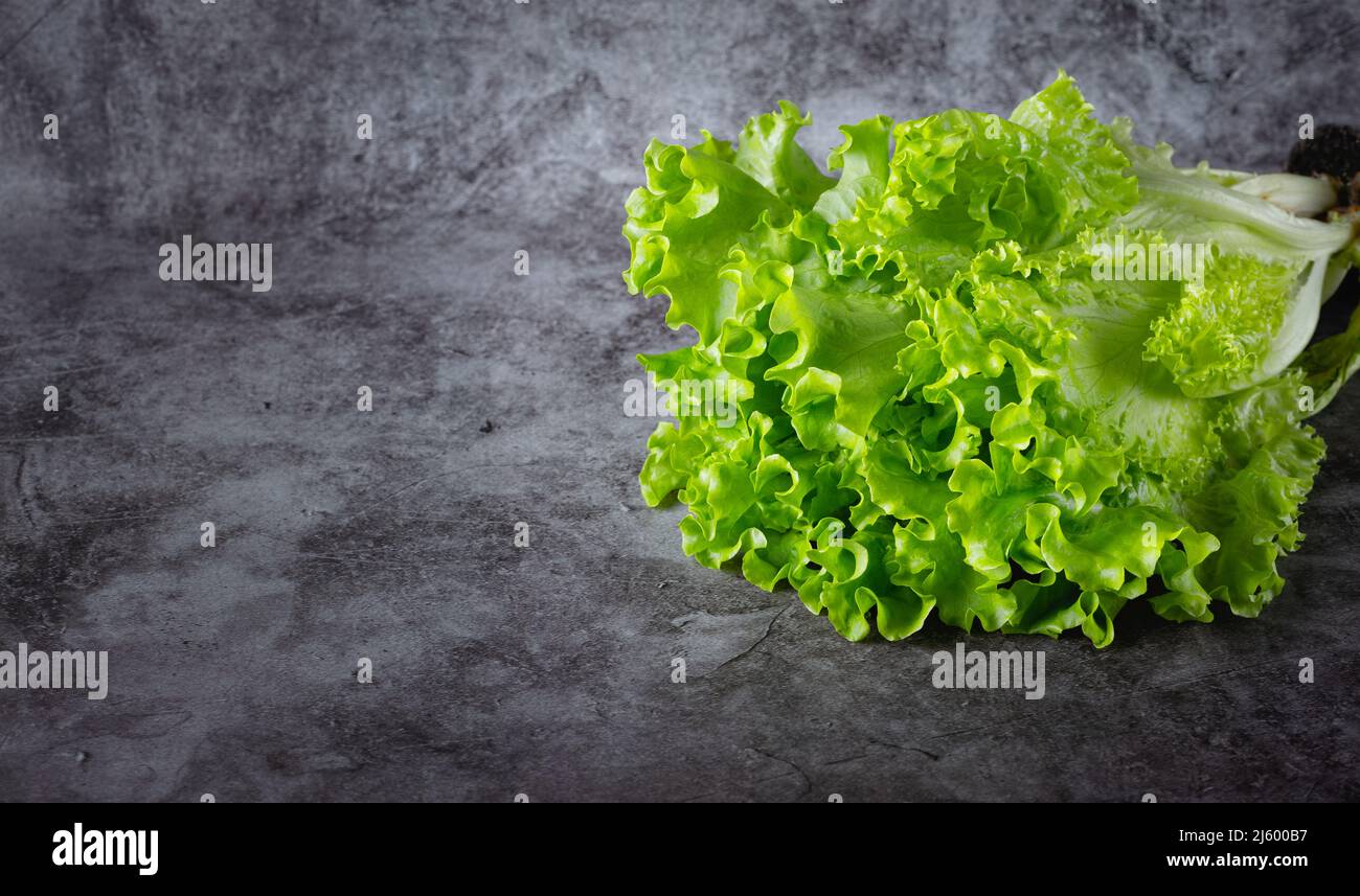Single lettuce head over rustic grey background Stock Photo - Alamy