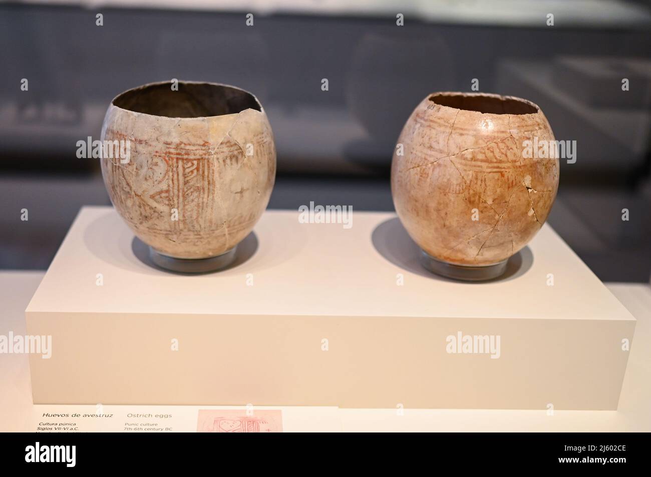 Ostrich eggs. Punic Culture. 7th-6th century BC. Necropolis of ...