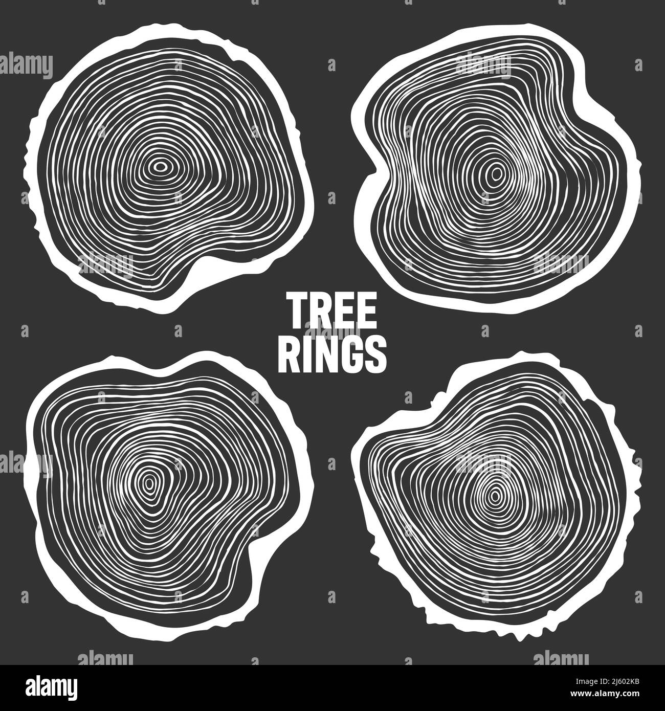 White round tree trunk cuts, sawn pine or oak slices, lumber. Saw cut ...