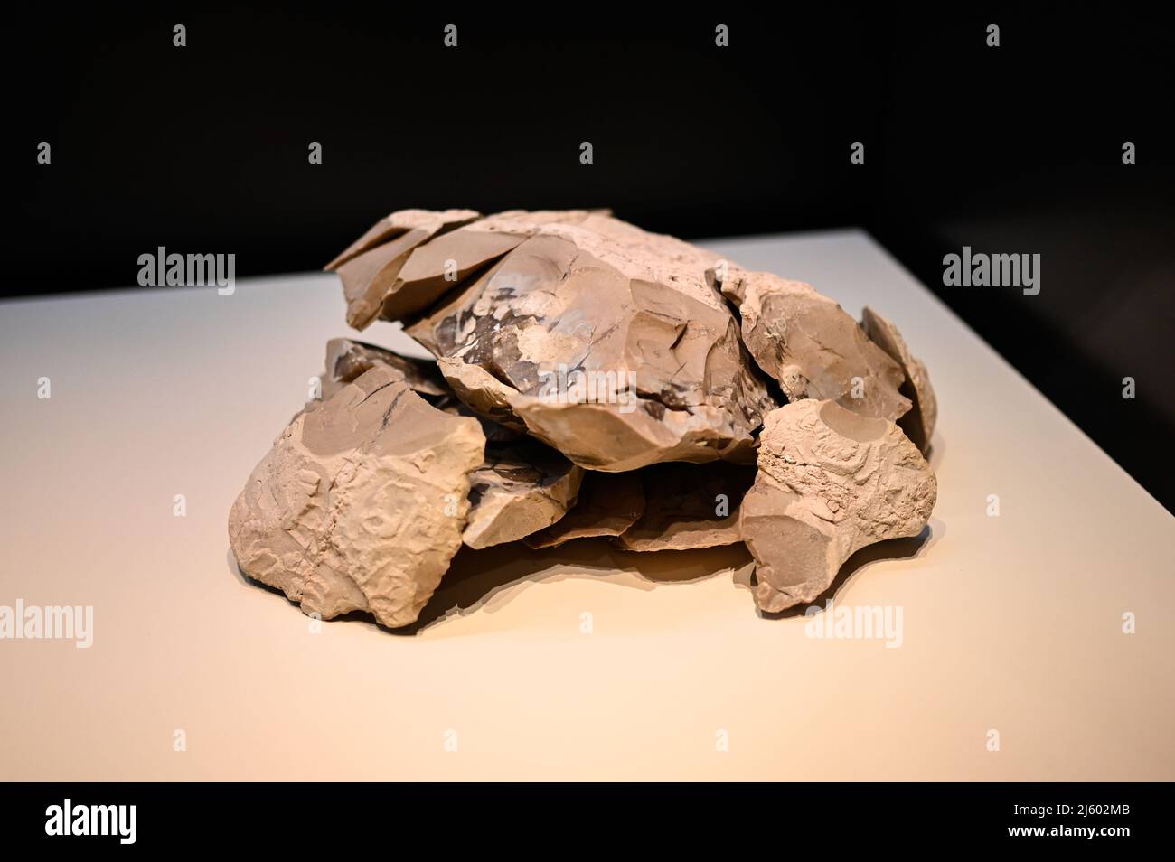 Flint mining. Reassemblies and flint cores, Casa Montero, Madrid, Spain ...