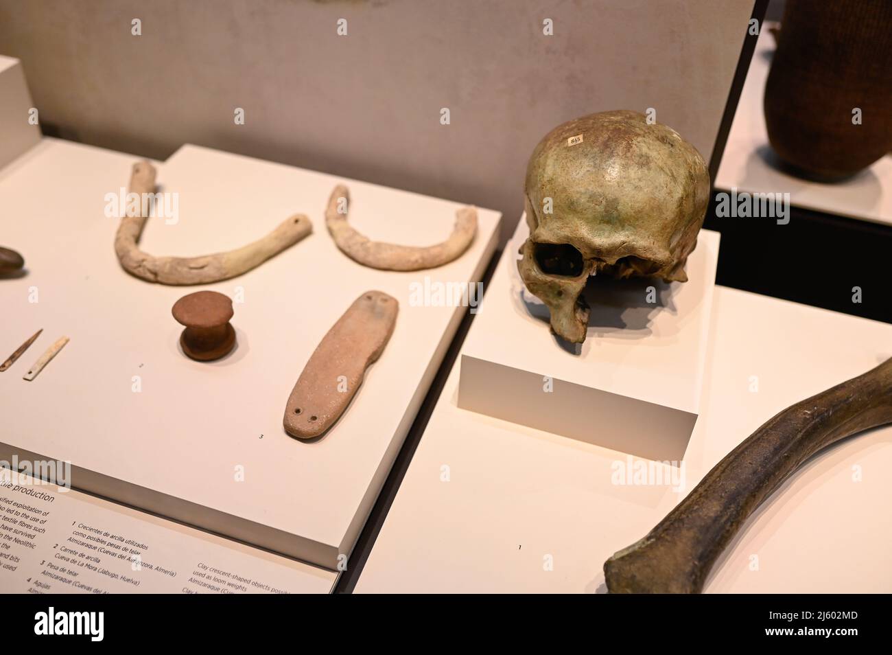 Clay objects and skull. The National Archaeological Museum (MAN), which ...