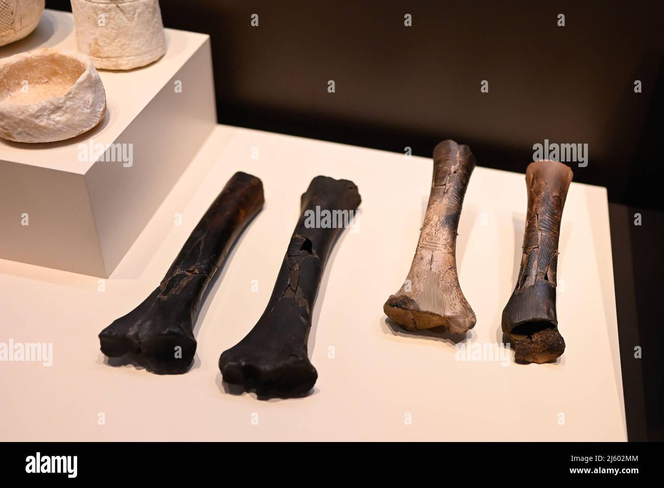 Bone idols. The National Archaeological Museum (MAN), which houses one ...