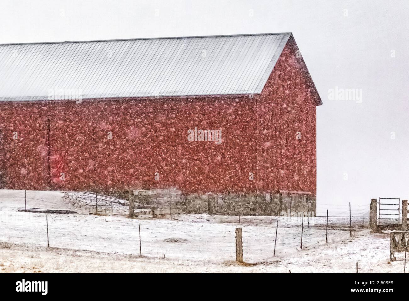 Amish barn during a heavy snowfall in central Michigan, USA [No ...