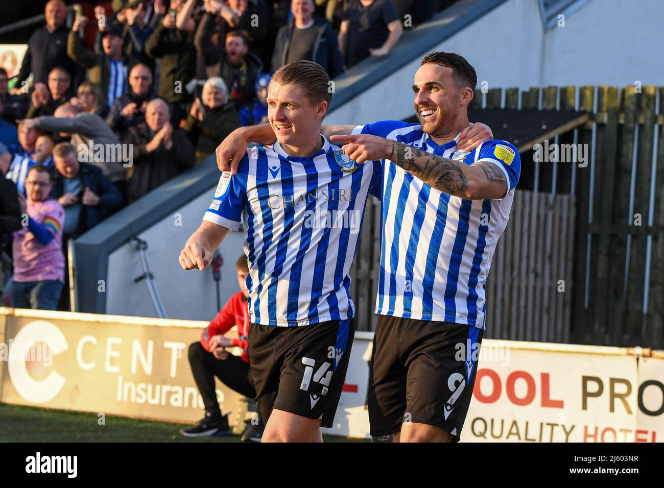 Lee Gregory #9 of Sheffield Wednesday celebrates scoring a goal with ...