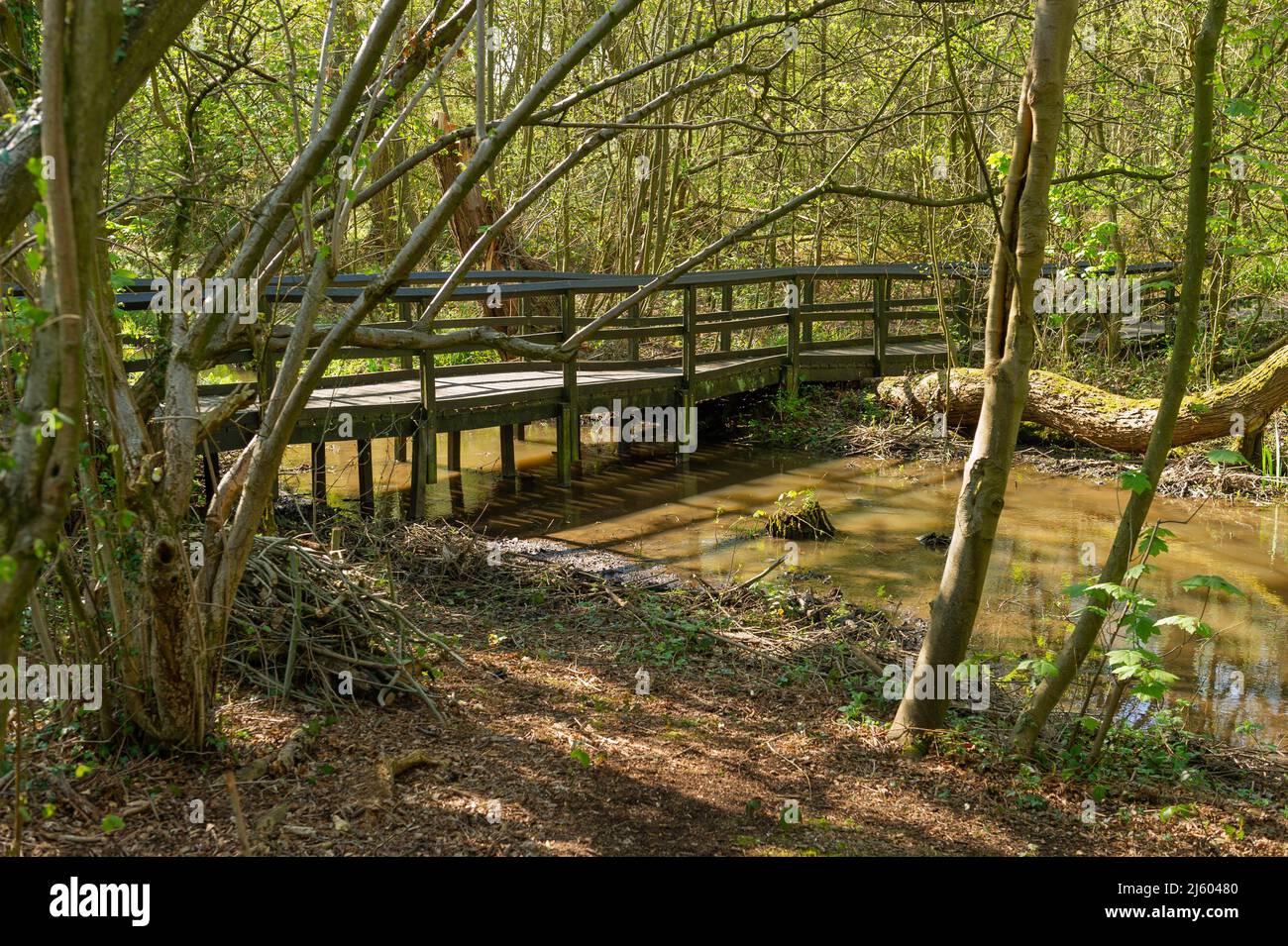 Bridge at Fradley Pool Nature Reserve, Staffordshire, England Stock ...