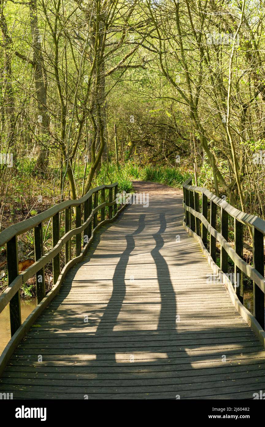 Bridge at Fradley Pool Nature Reserve, Staffordshire, England Stock ...