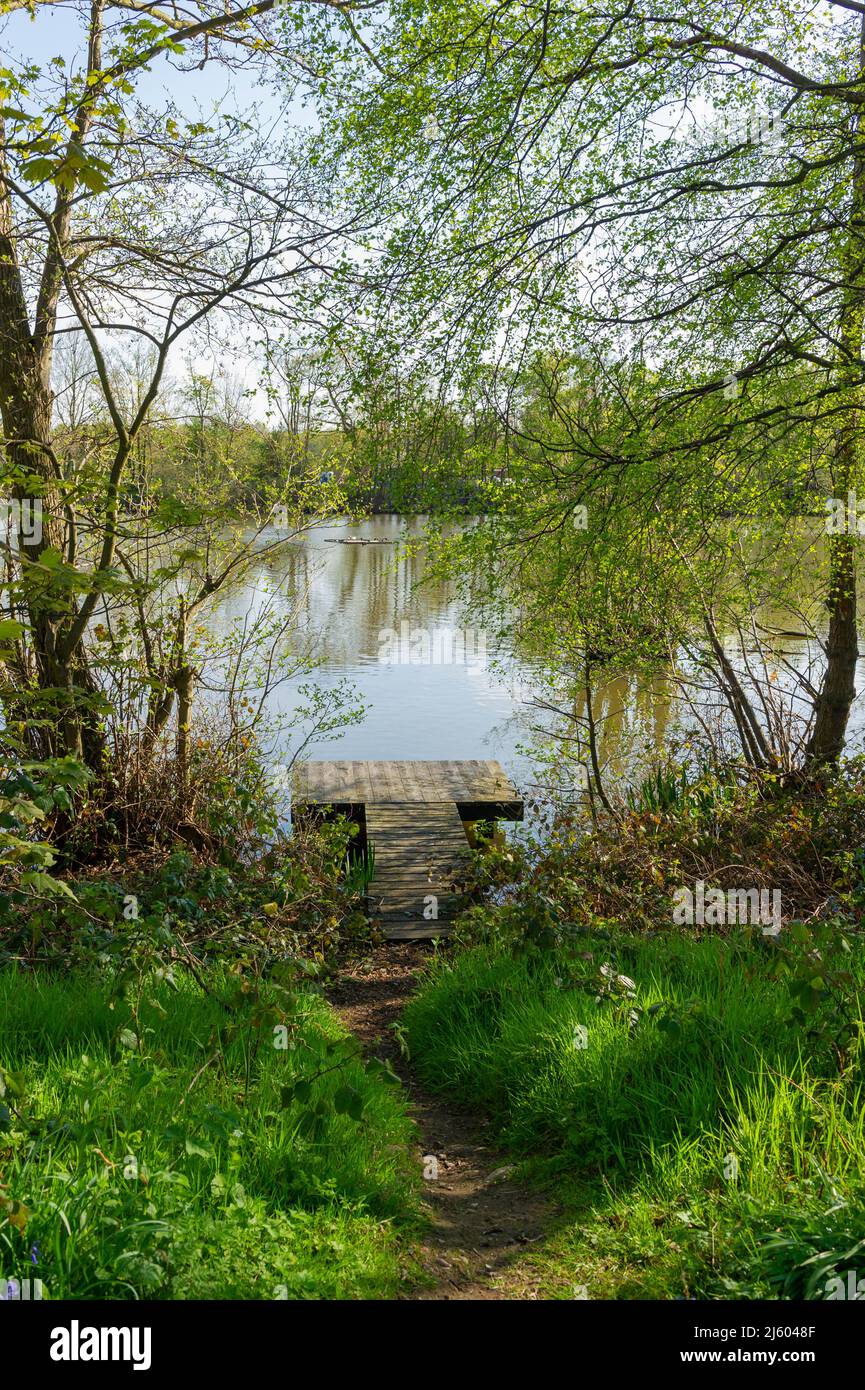 Fishing Point at Fradley Pool Nature Reserve, Staffordshire, England ...