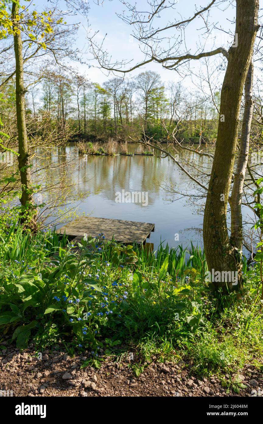 Fishing Point at Fradley Pool Nature Reserve, Staffordshire, England ...