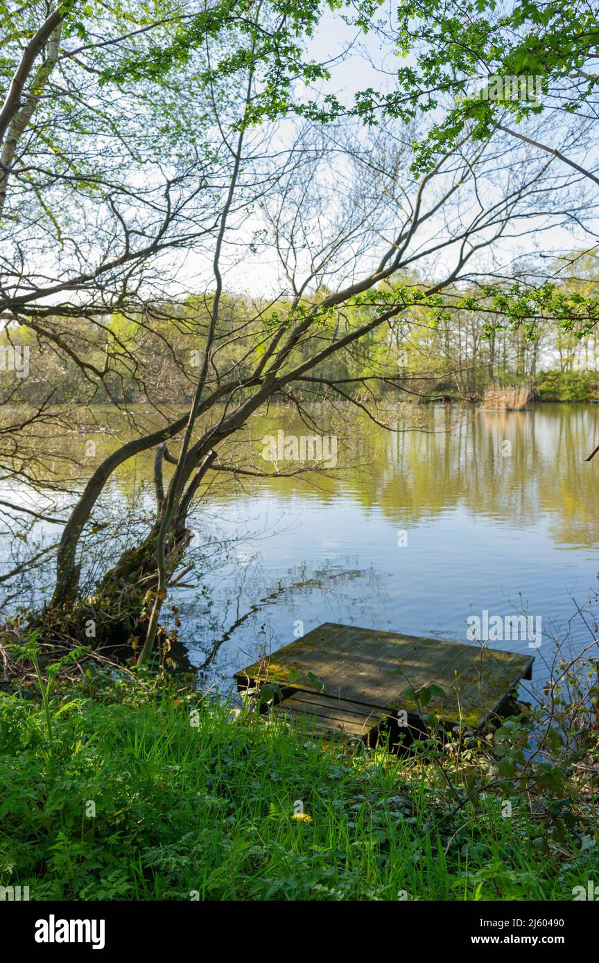 Fishing Point at Fradley Pool Nature Reserve, Staffordshire, England ...