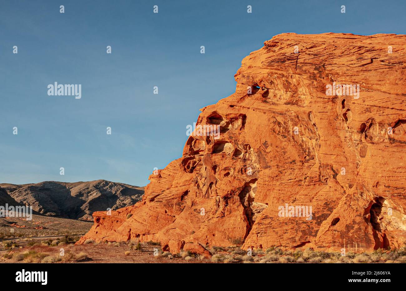 Monster face hi-res stock photography and images - Alamy