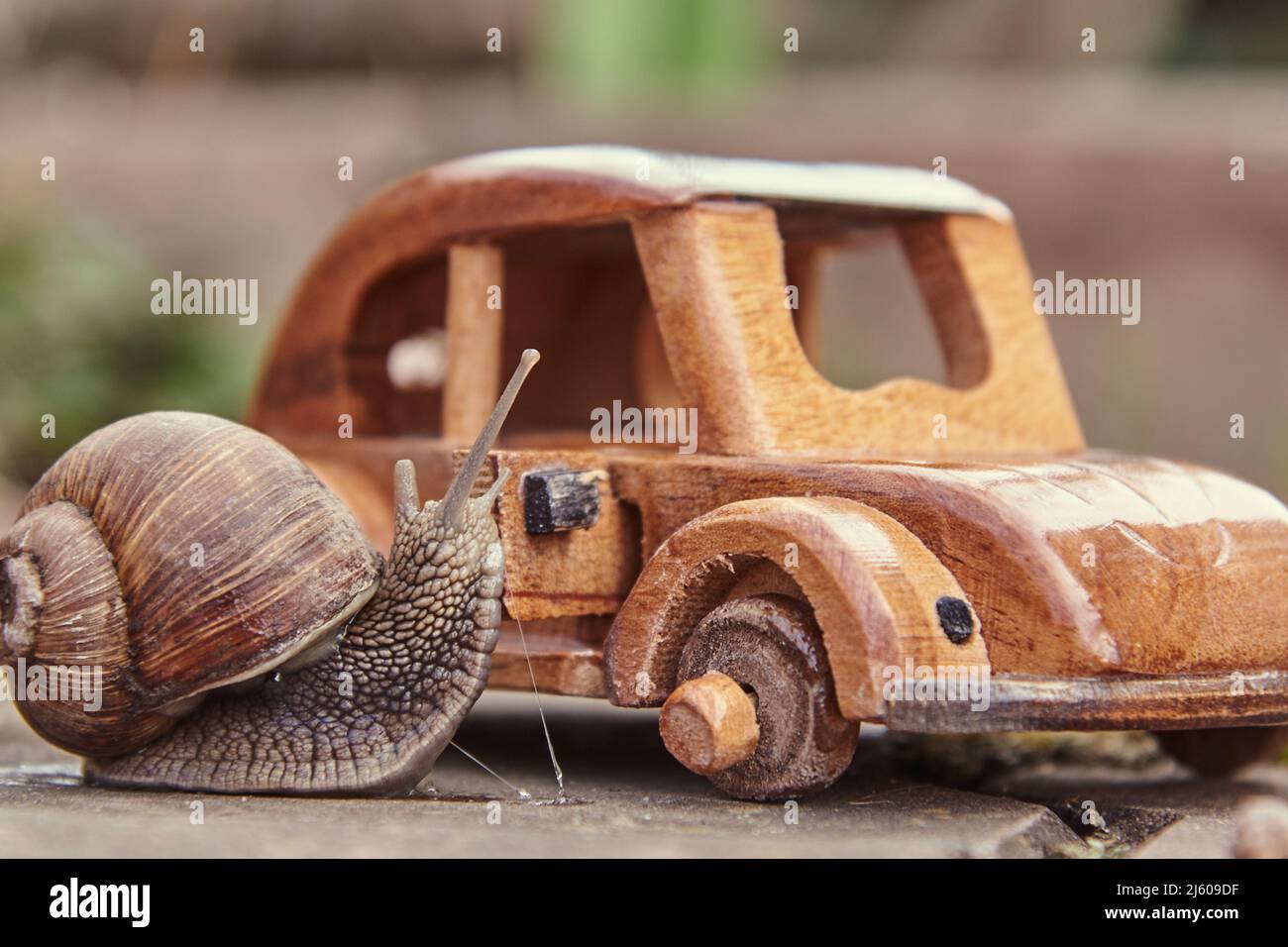 An ordinary garden snail and a wooden model of a retro car.Funny photo ...