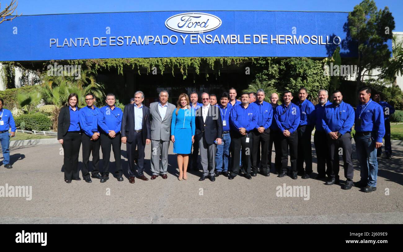 Planta de estampado hi-res stock photography and images - Alamy