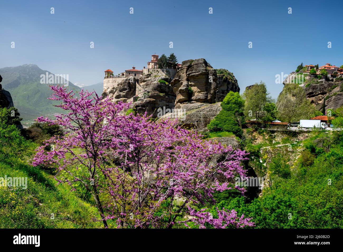 Landscape of Greek Orthodox Monasteries with a beutiful tree with pink ...