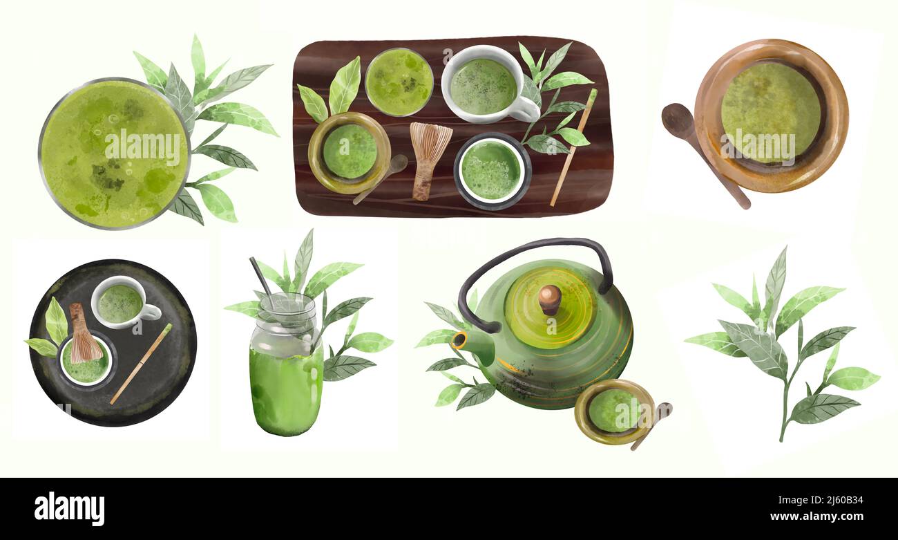 Matcha elements green tea organic composition. Asian hot drink healthy ...