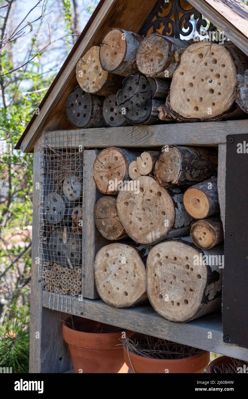 Bee and wasp habitat structure with drilled holes for insects to ...