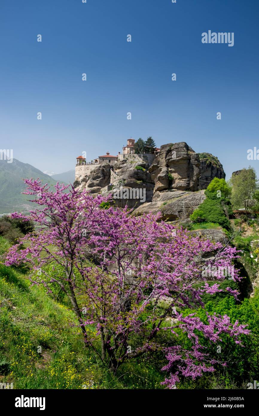 Landscape of Greek Orthodox Monasteries with a beutiful tree with pink ...