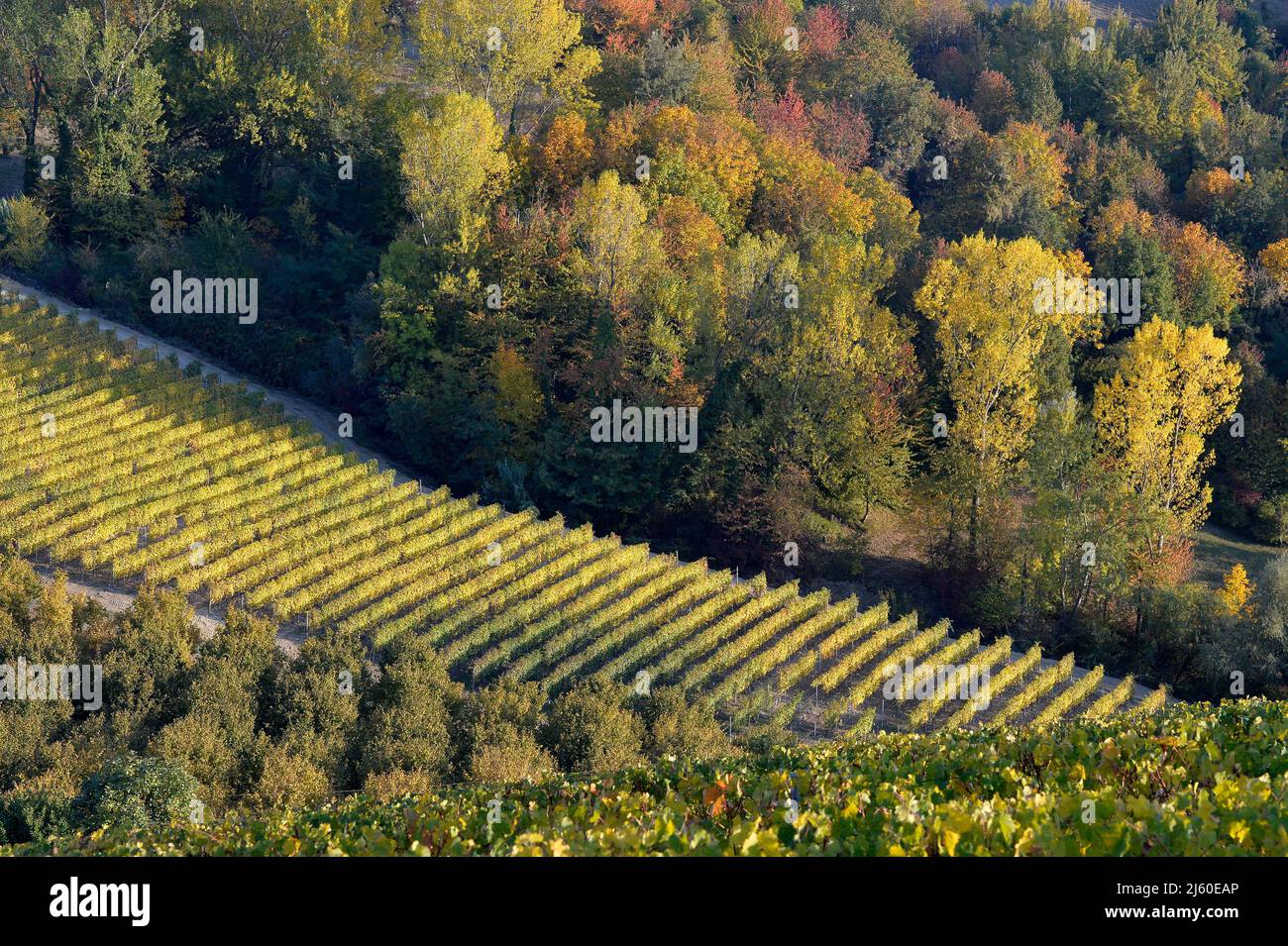 Nice images for general purpose Stock Photo - Alamy