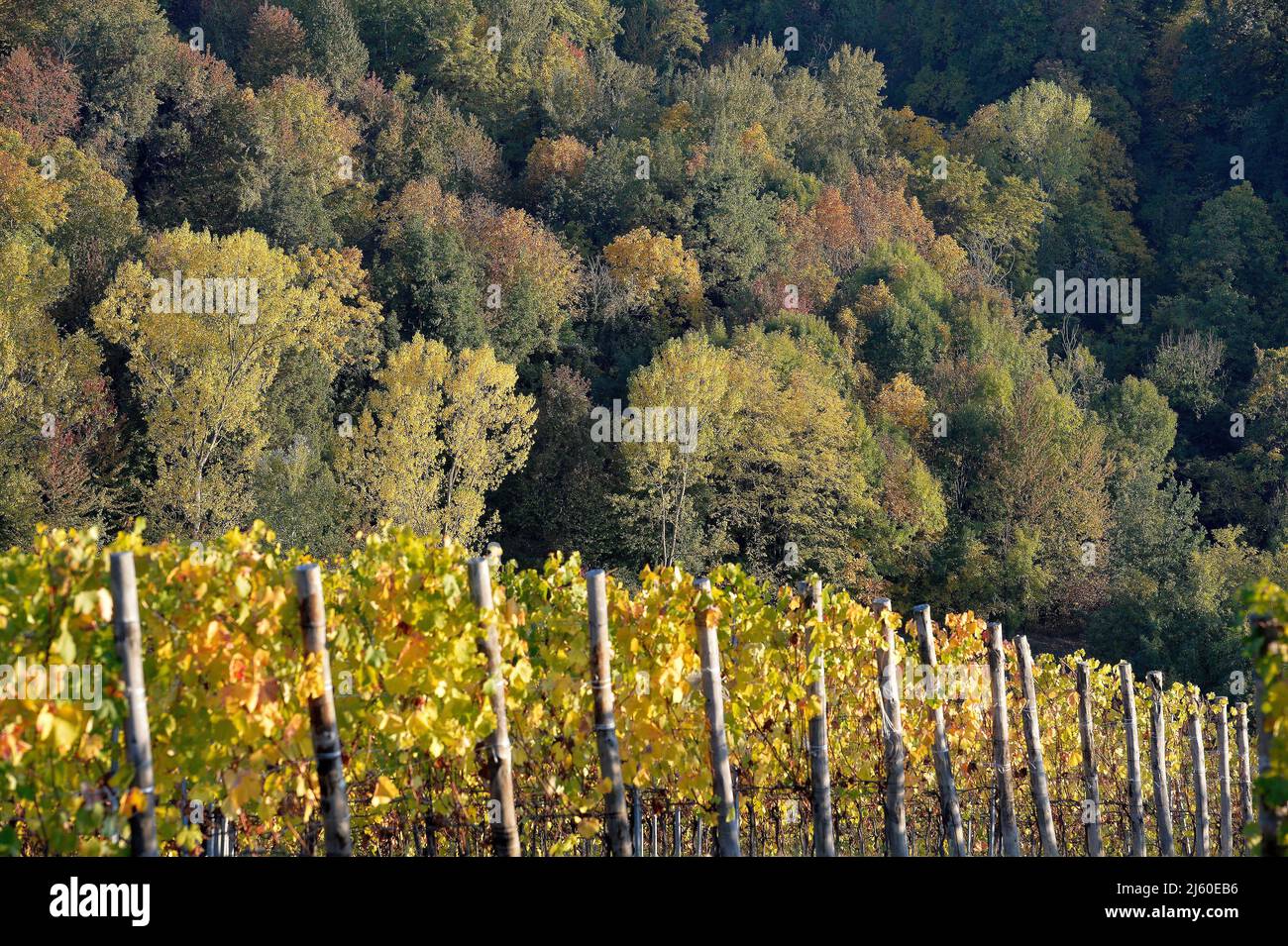 Nice images for general purpose Stock Photo - Alamy