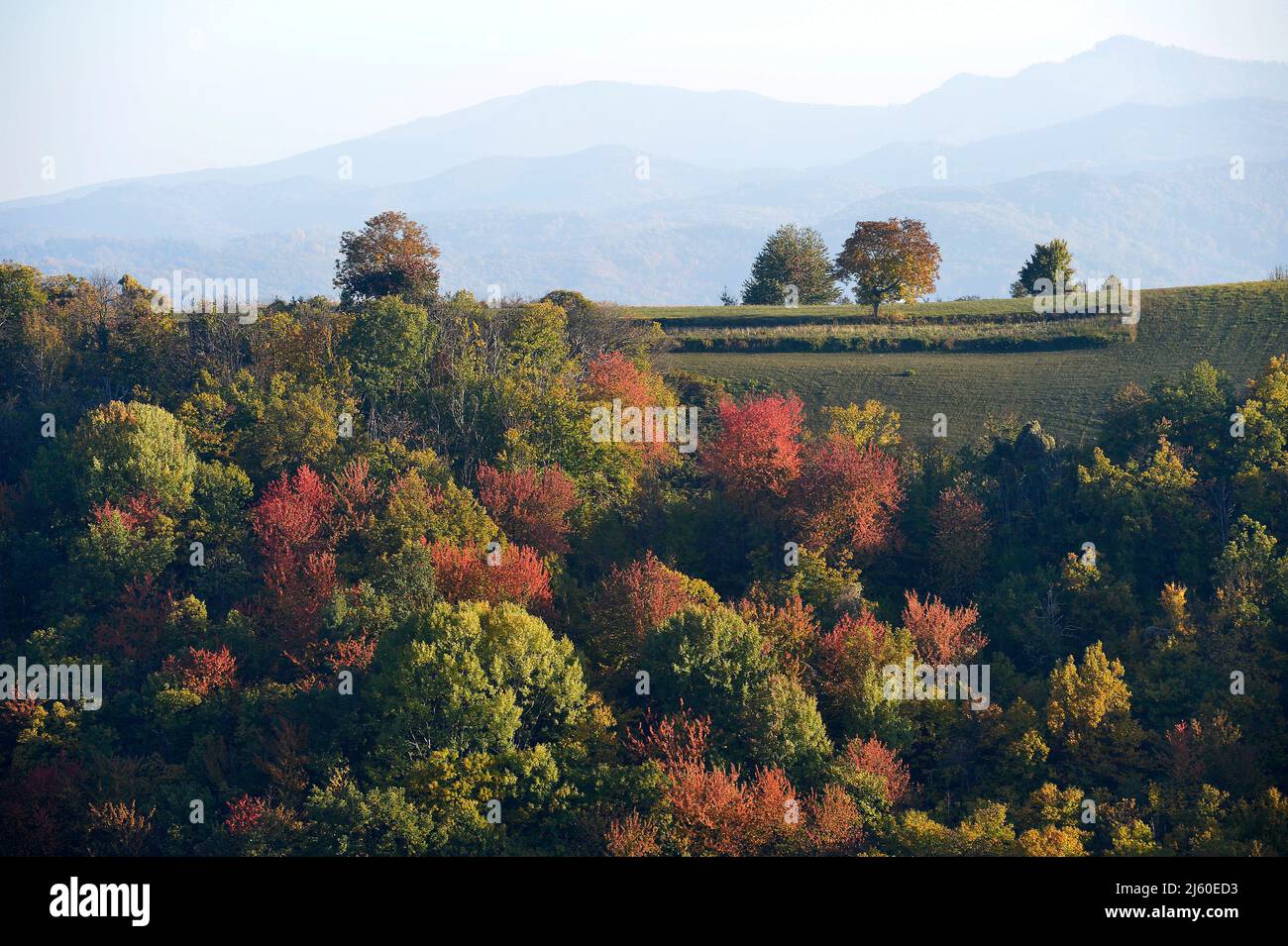 Nice images for general purpose Stock Photo - Alamy