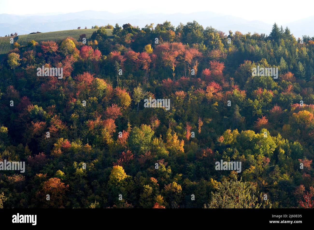 Nice images for general purpose Stock Photo - Alamy