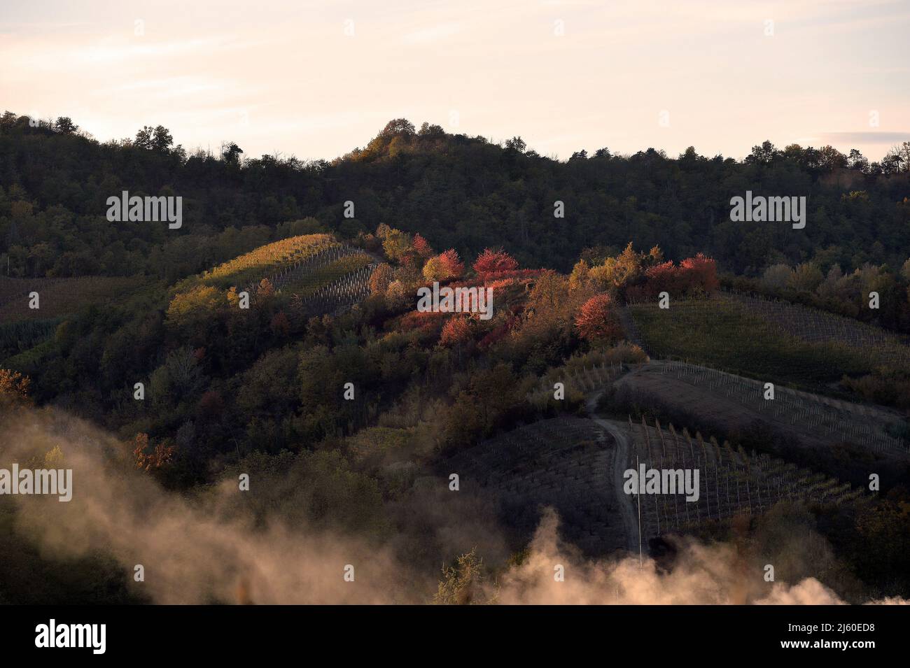 Nice images for general purpose Stock Photo - Alamy