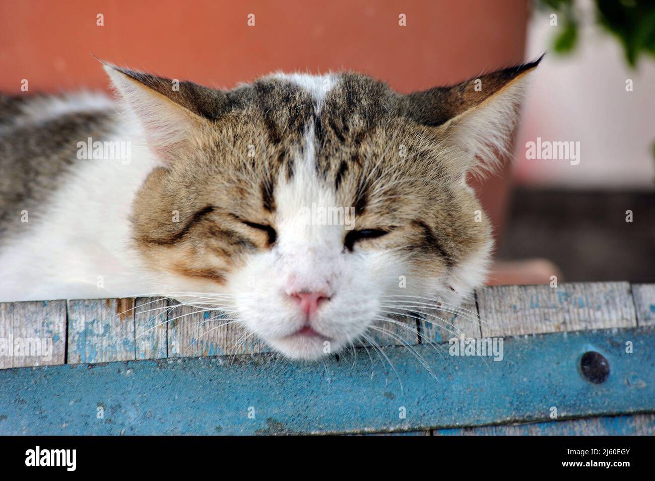 Nice images for general purpose Stock Photo - Alamy