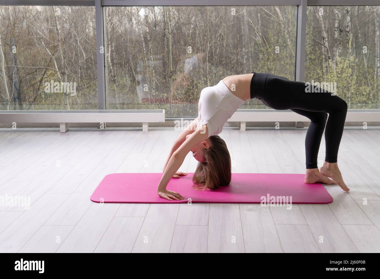 Bridge Gymnastics Body