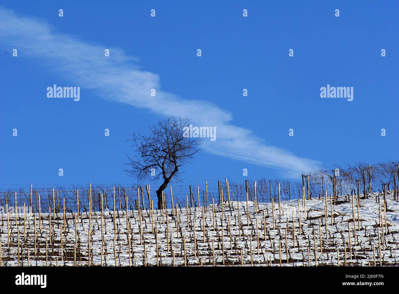 Nice images for general purpose Stock Photo - Alamy