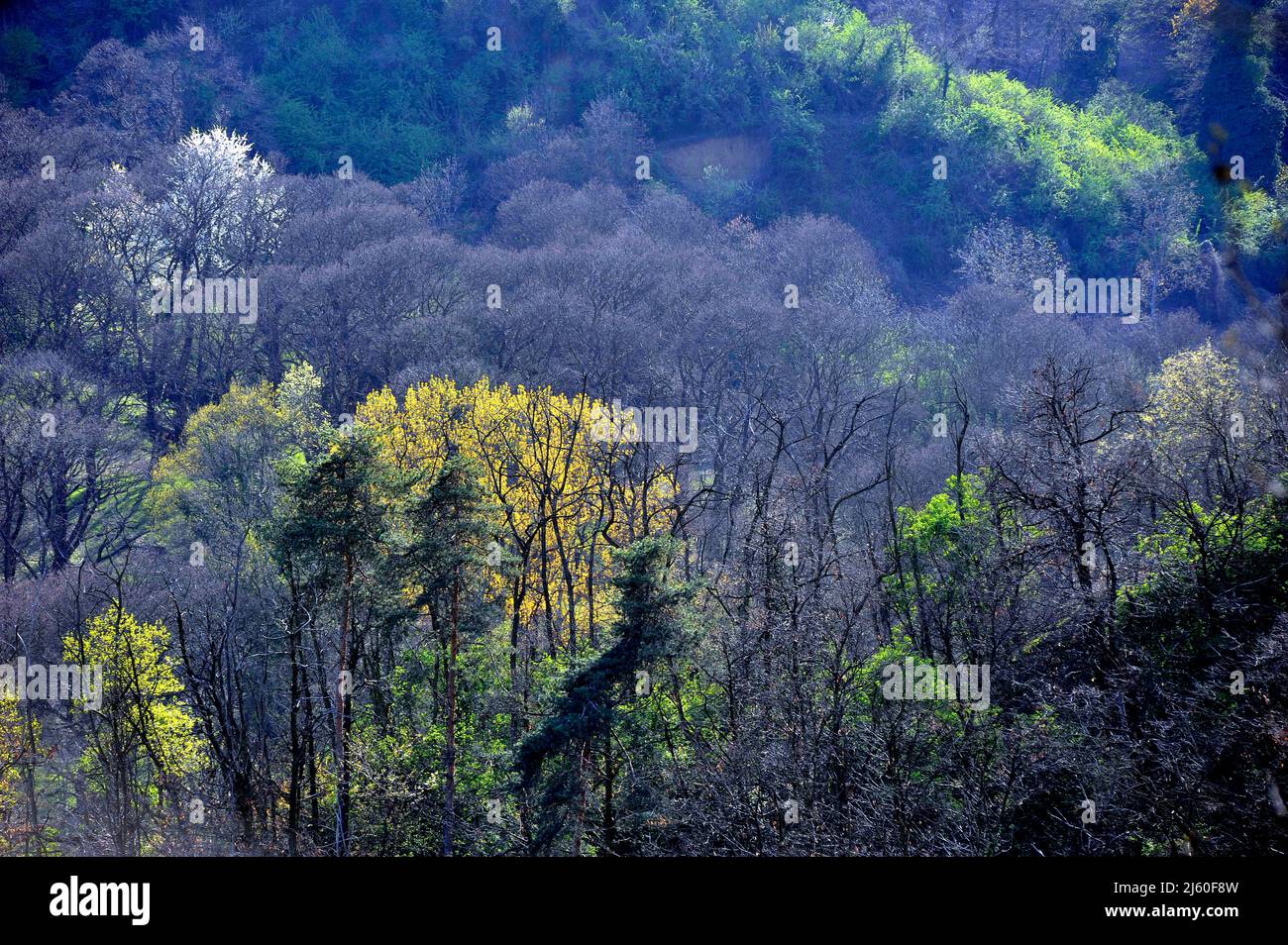 Nice images for general purpose Stock Photo - Alamy