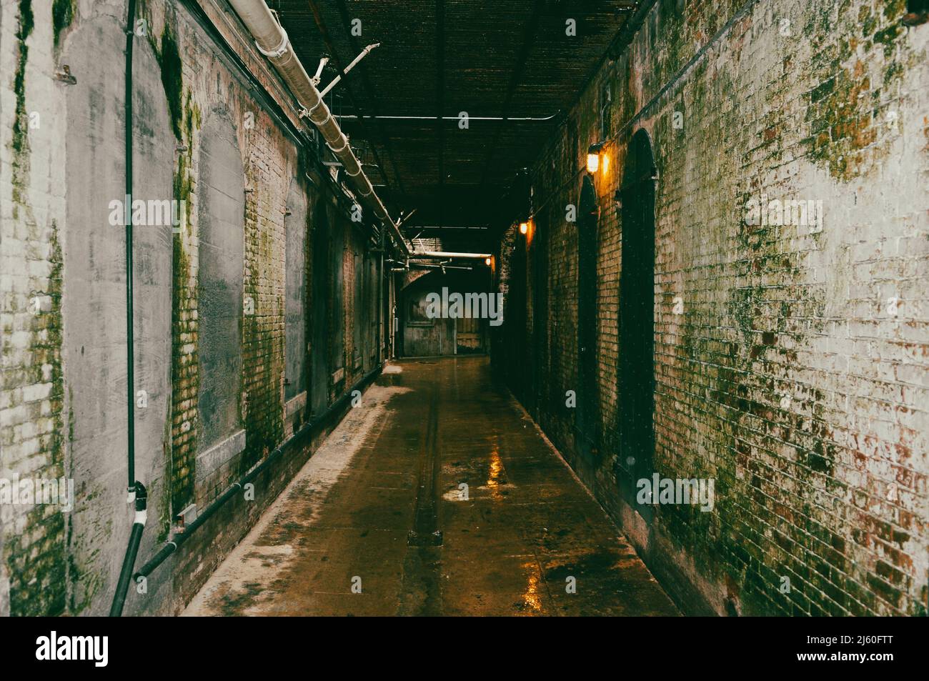 Dark tunnel or enclosed alley way is damp and dark Stock Photo - Alamy