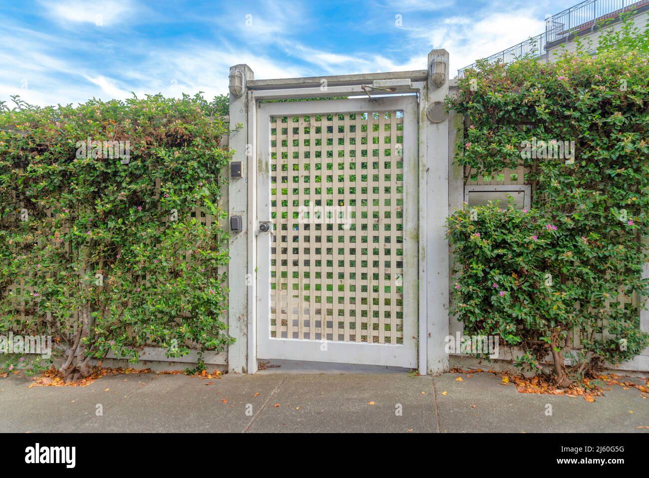 Single gate door with grid railings and shrubs on the fence at San ...