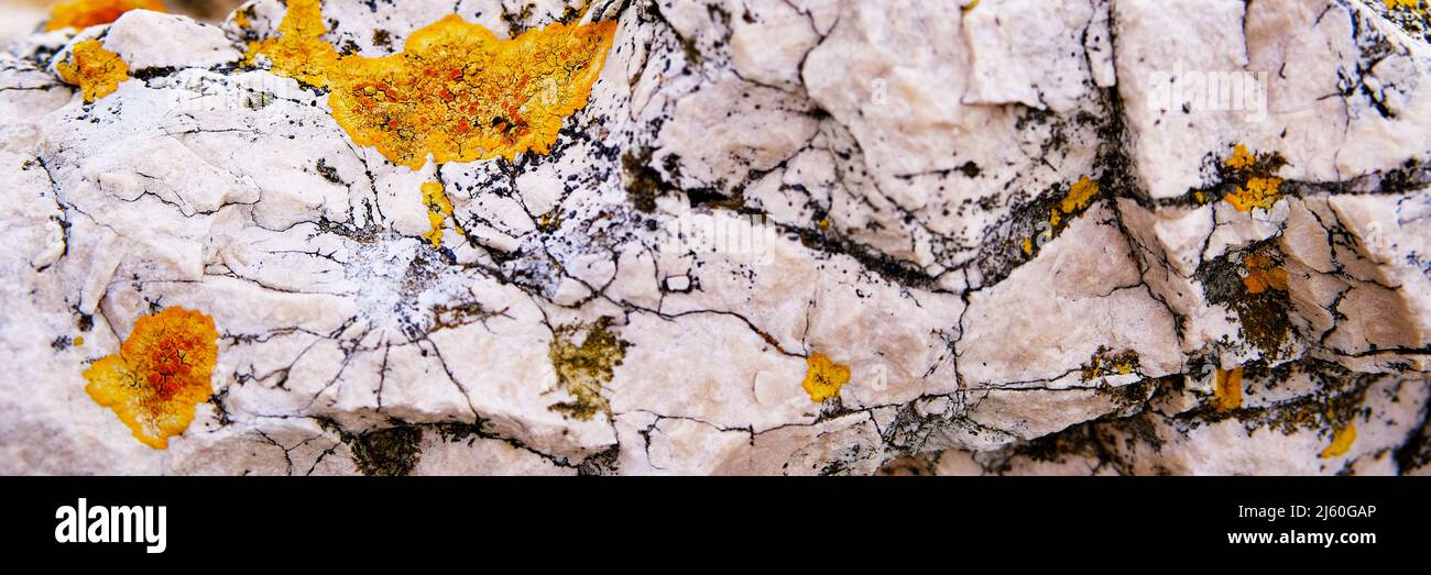 Natural rock stone texture with yellow lichen Stock Photo - Alamy